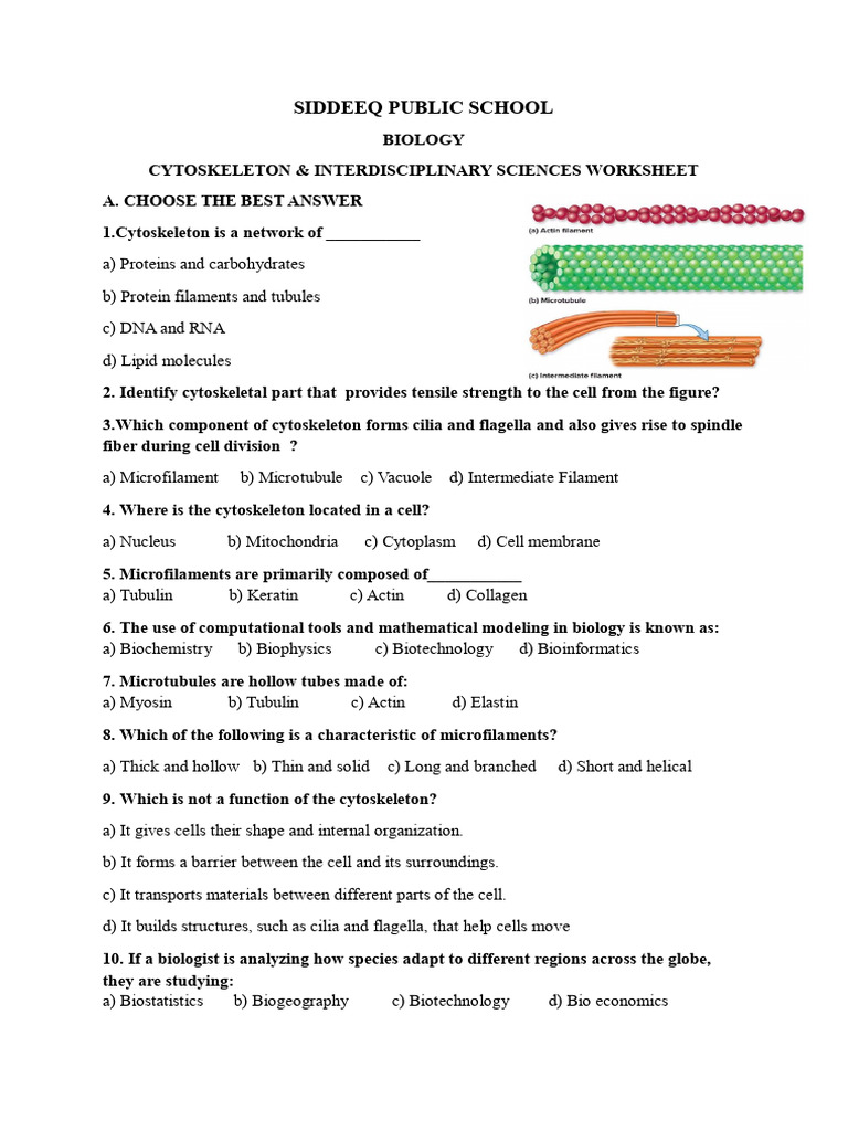 Worksheet Cytoskeleton & Interdisciplinary Sciences | PDF ...