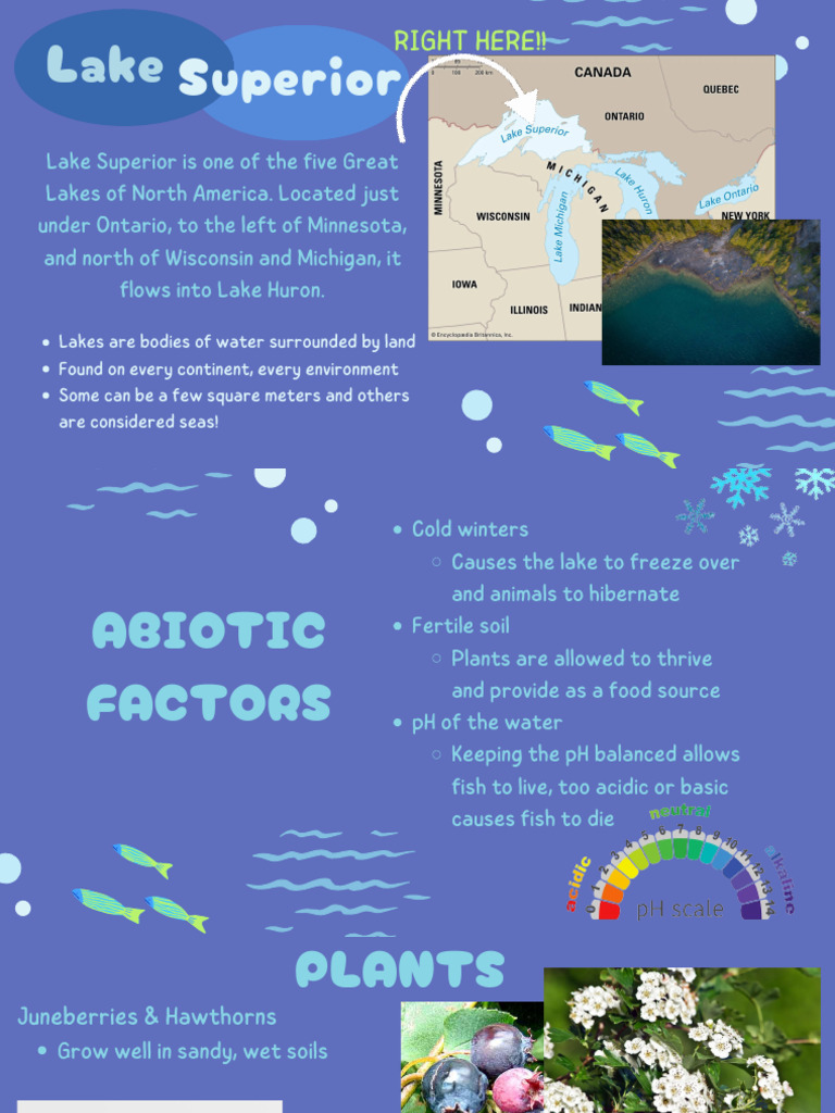 Lake Superior: Ecosystem Overview | PDF | Trout | Natural Environment