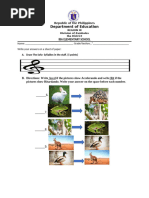 PEP Hilton Advance Purchase Guide | PDF | Payments | Credit Card