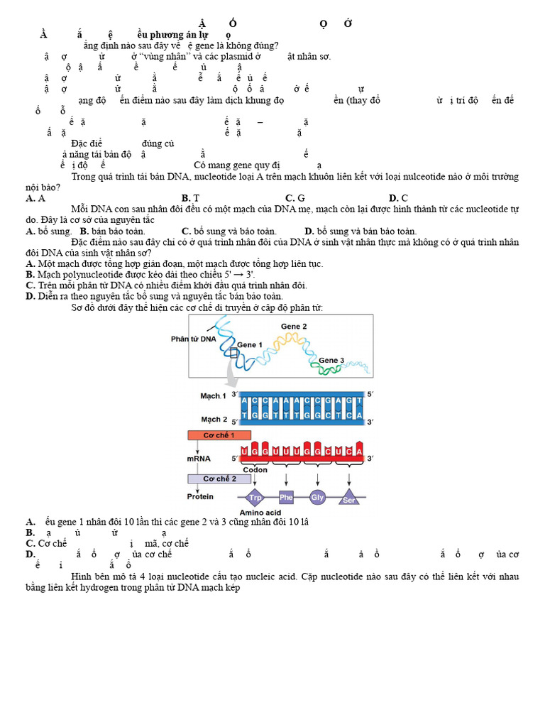 ĐỀ-CƯƠNG-ÔN-TẬP-CKI-HS | PDF