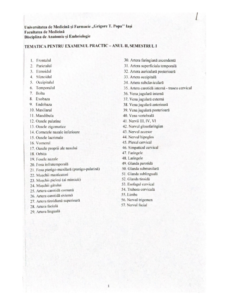 Examen Practic Anatomie | PDF