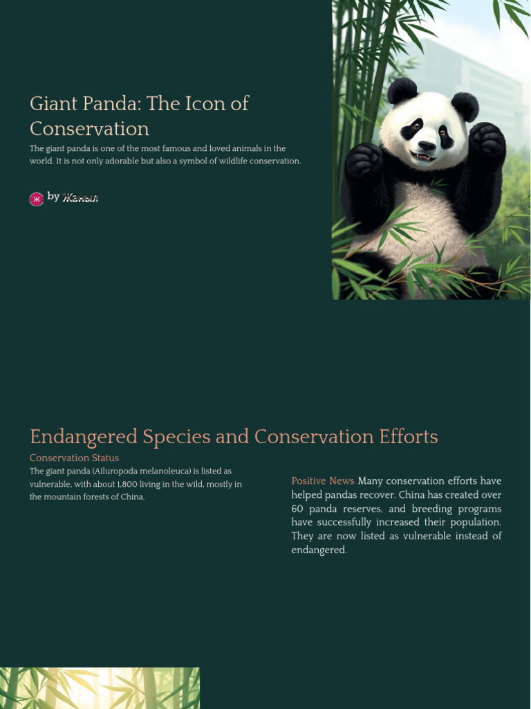 Giant Panda: Conservation Success Story | PDF | Giant Panda | Biodiversity