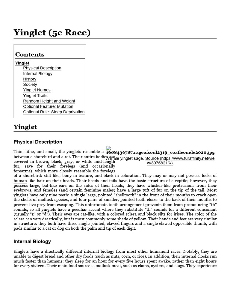 Yinglet Race Overview for D&D 5e | PDF | Tooth