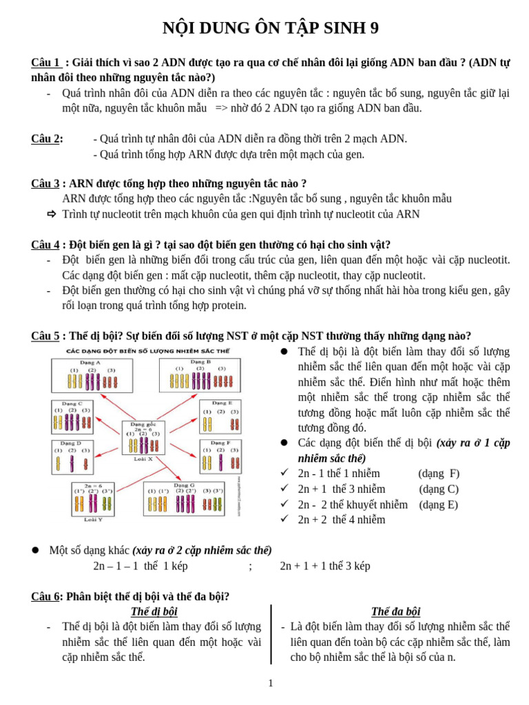 ÔN TẬP SINH 9 HK1 | PDF