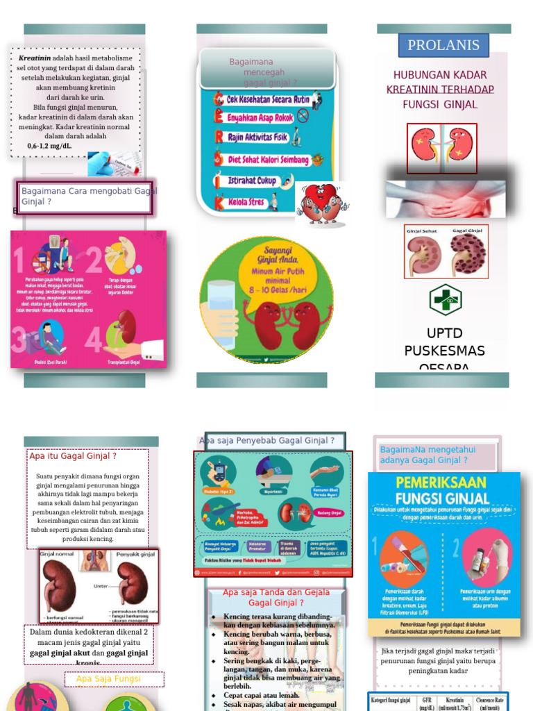 Leaflet Gagal Ginjal PKM KARPAN | PDF