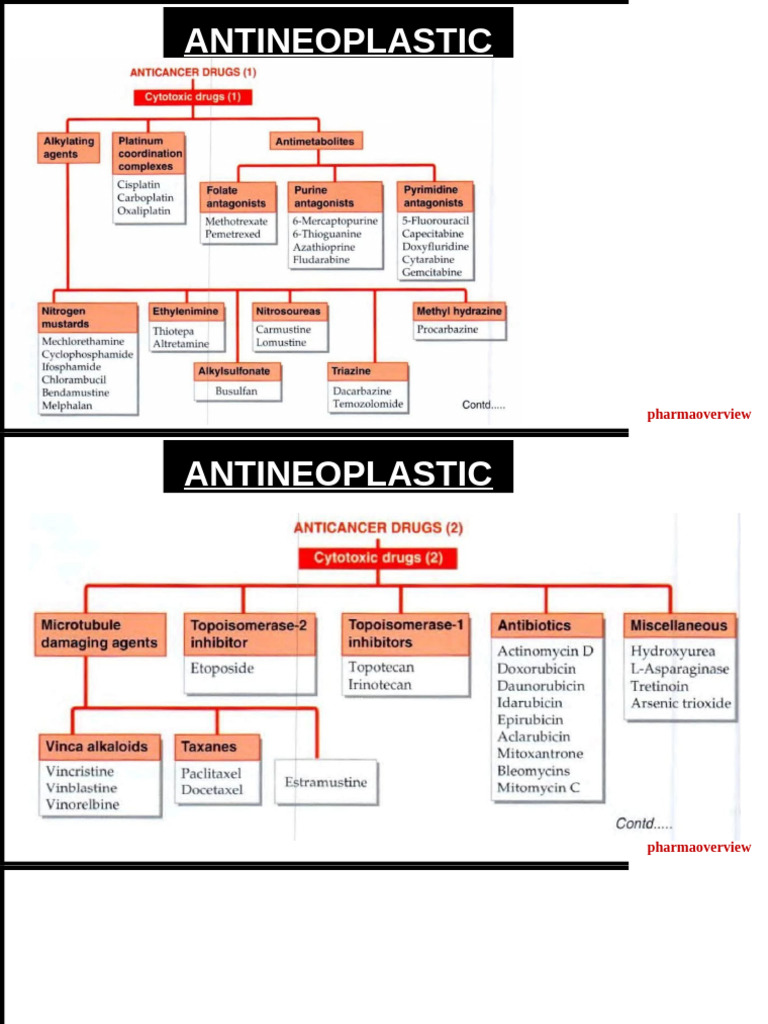 Antineoplastic Classification | PDF