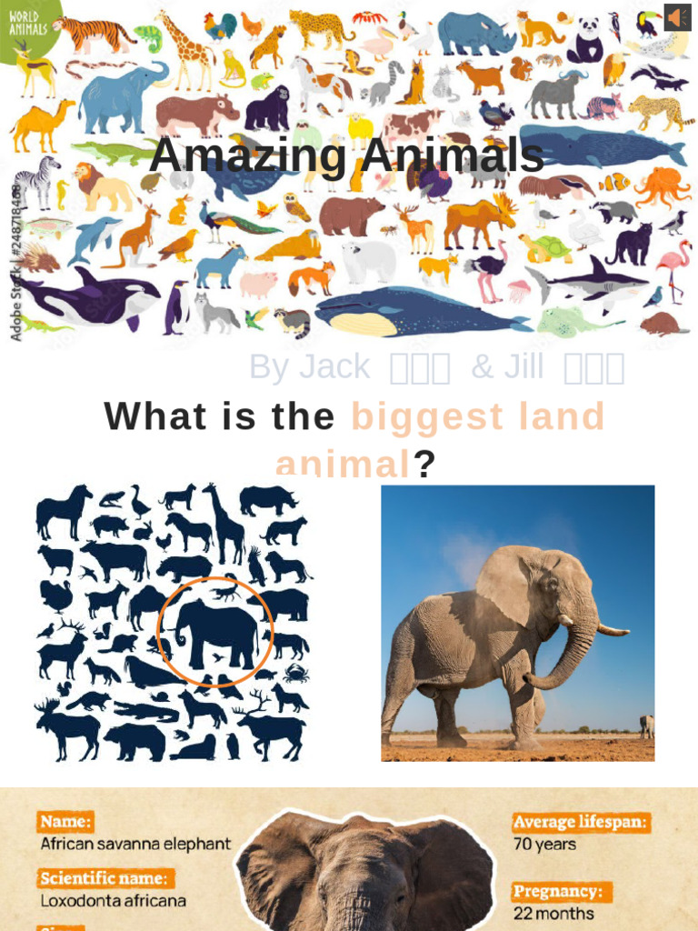 Amazing Animals | PDF