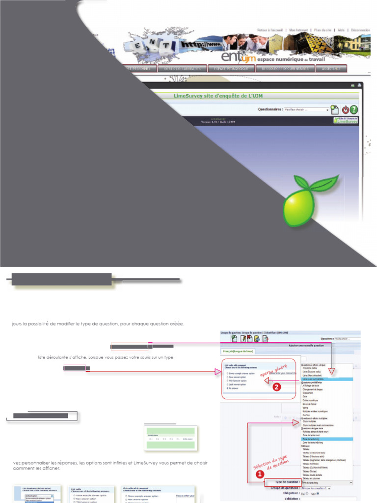 Types de questions dans LimeSurvey | PDF | Logiciel | Informatique