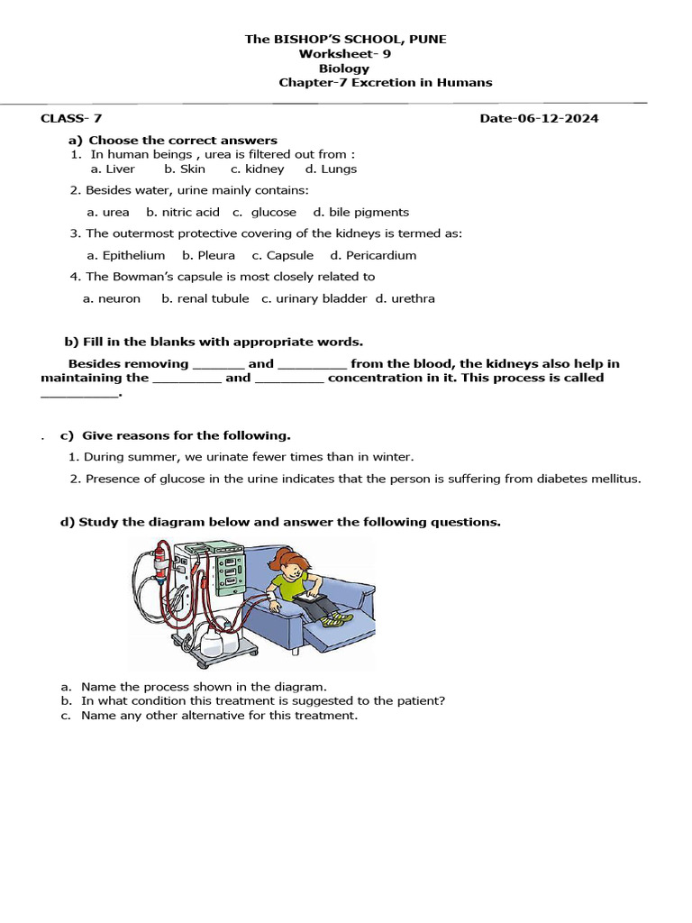06122024052151worksheet - 9 | PDF