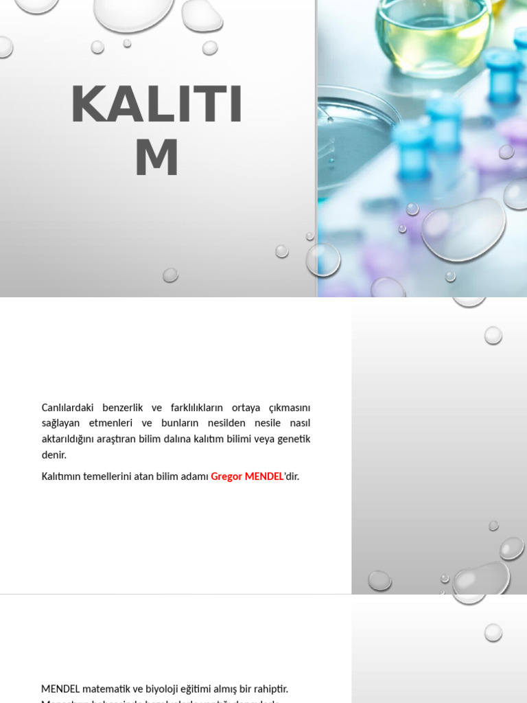 Kali Tim | PDF
