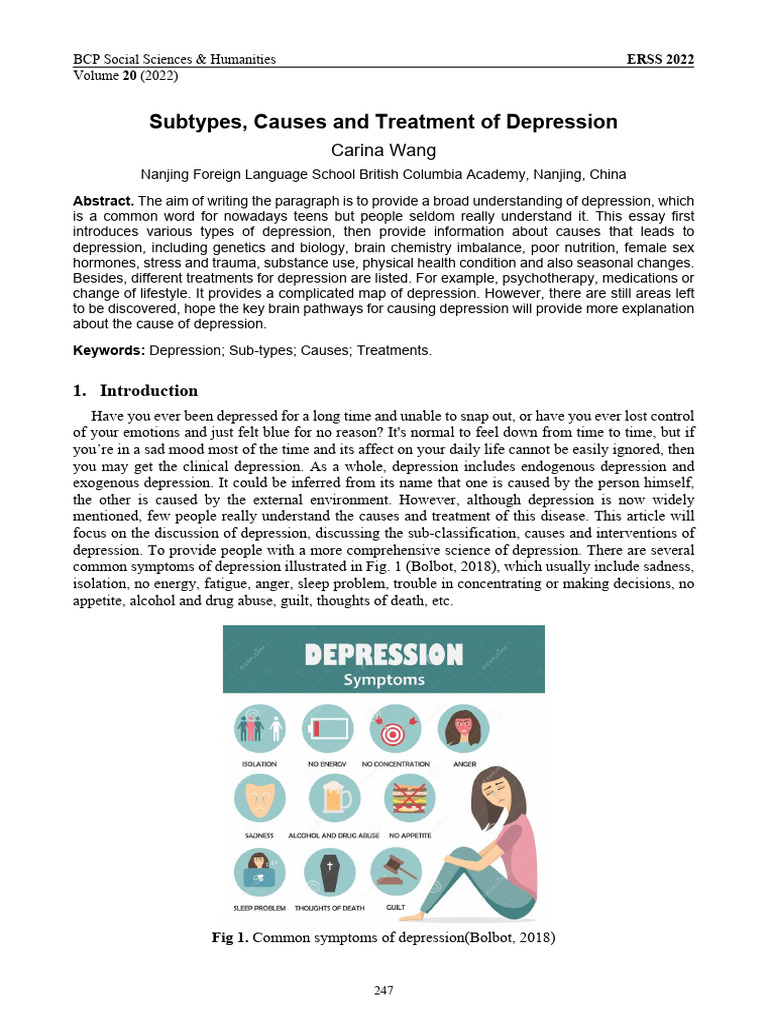 Subtypes Causes and Treatment of Depression | PDF | Major Depressive ...