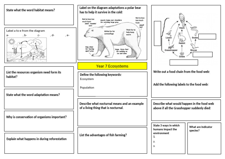 Ecosystem Revision Map | PDF