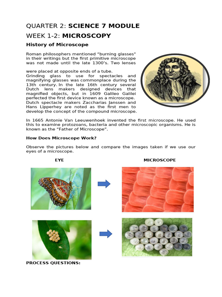 QUARTER 2 SCIENCE 7 MODULE WEEK 1-2 | PDF | Microscope | Optics