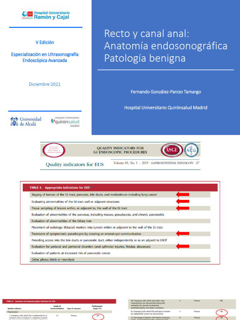 Ecoanatomia Recto y Canal Anal Patologia Benigna GonzalezPanizo 2 | PDF | Recto | Pelvis