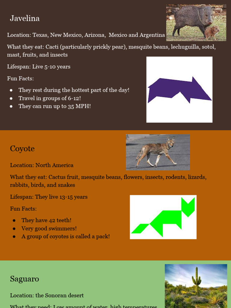 Pah Named After Extinct Creature | PDF
