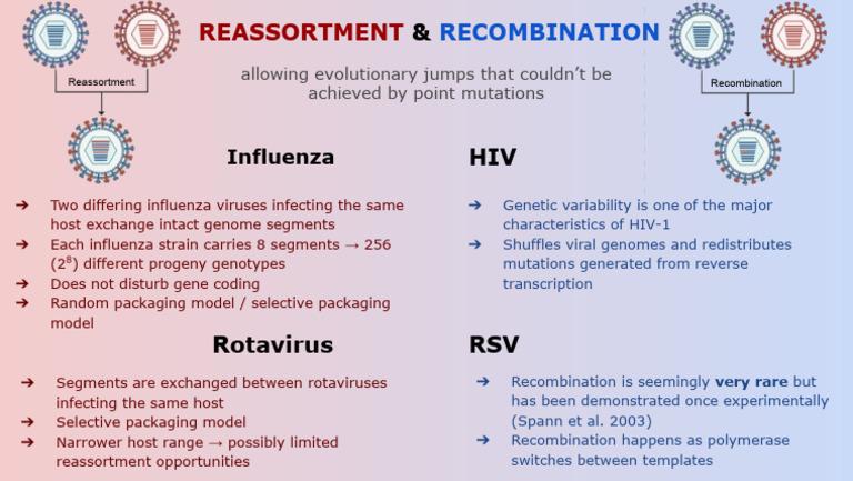 Reassortment and Recombination | PDF