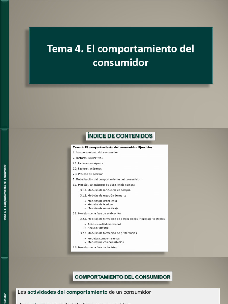 Tema 4 El Comportamiento Del Consumidor | PDF | Comportamiento | Comportamiento del consumidor