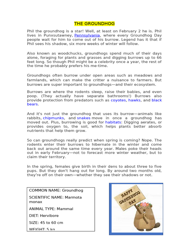 Groundhog Facfile | PDF