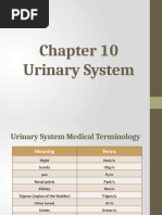 Urology Medical Terminology Guide | PDF | Urinary System | Kidney