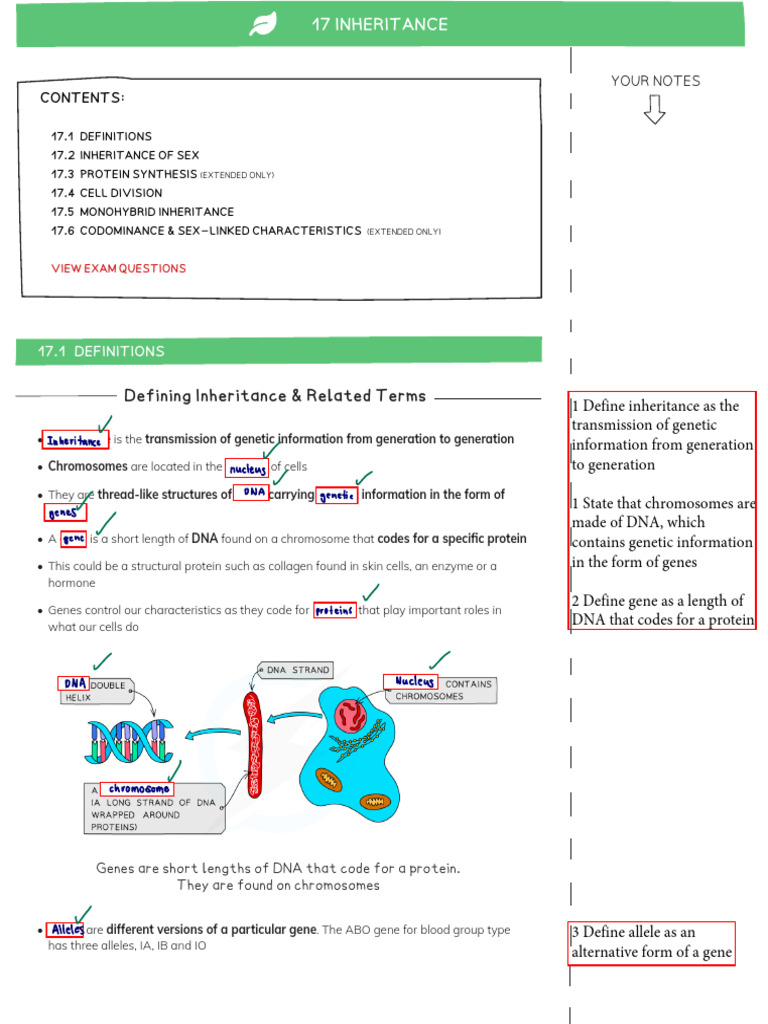 NOTES Chromosomes, Genes & Proteins. (Student - S Version) | PDF ...
