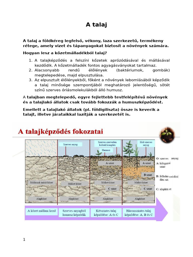 A Talaj | PDF