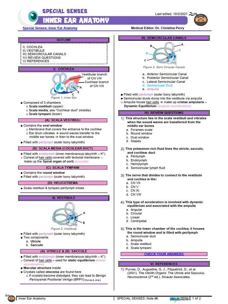 425 - Eyes-Ears-Nose-Throat Physiology) Inner Ear Anatomy | PDF | Ear ...