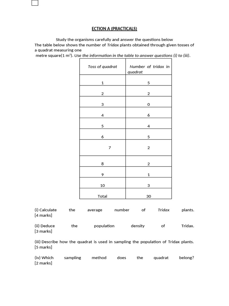 Theory | PDF