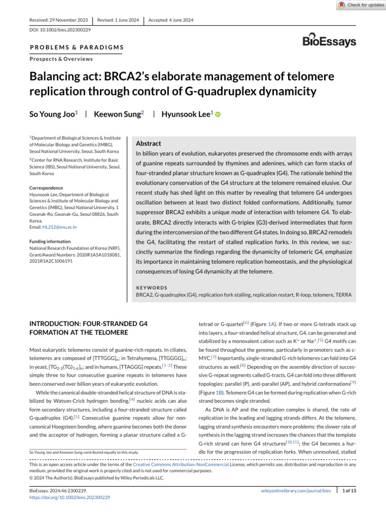 BioEssays - 2024 - Joo - Balancing Act BRCA2 S Elaborate Management of ...