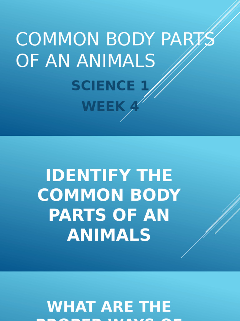 COMMON BODY PARTS OF AN ANIMALS | PDF