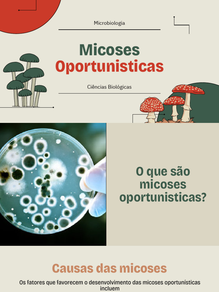 Micoses Oportunísticas: Causas e Tratamentos | PDF
