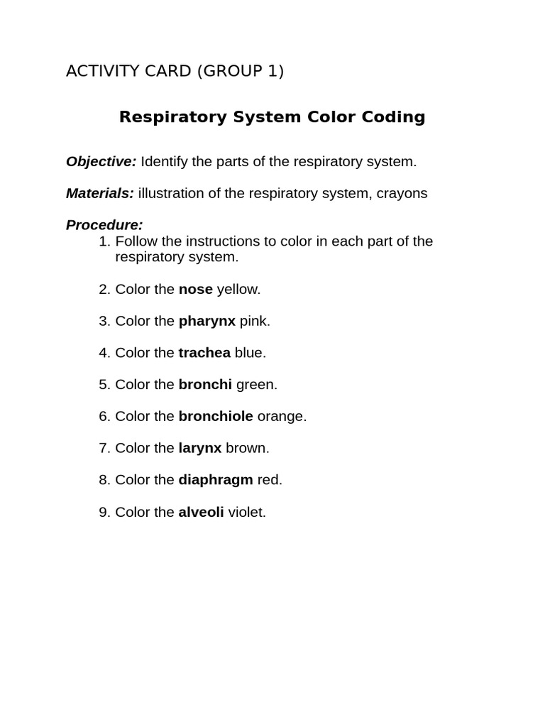ACTIVITY CARD-Respiratory System | PDF | Respiratory Tract ...