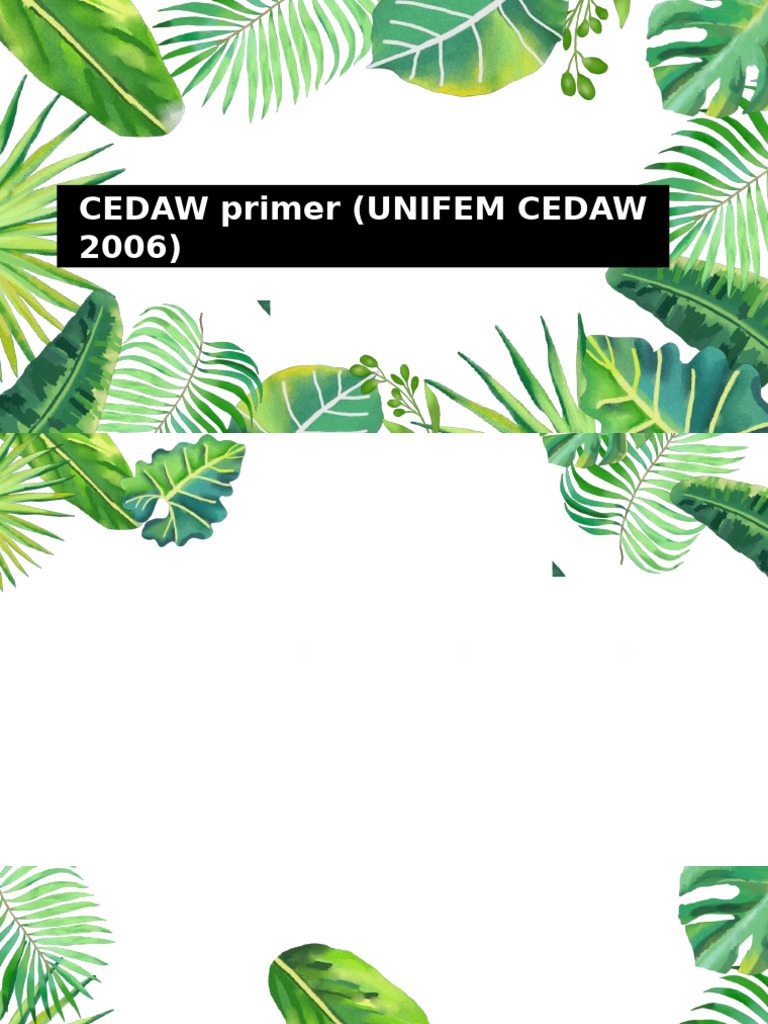 CEDAW Primer (U-WPS Office | PDF | Equipment | Optics