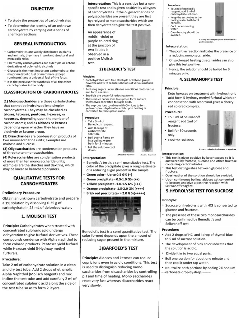 Chemical Test of Carbohydrate BIOCHEM | PDF