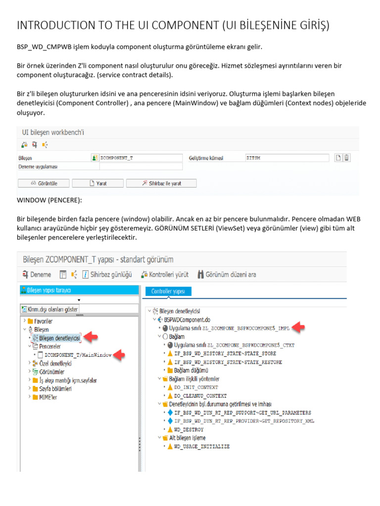 WEBUI Custom Component | PDF