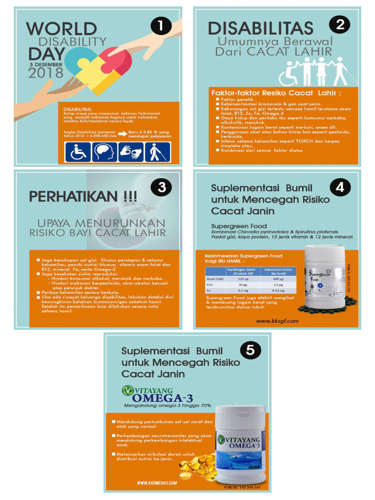 World Disabilitas Day | PDF