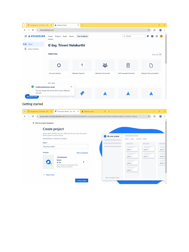 Triveni Week2 Assignment Jira | PDF