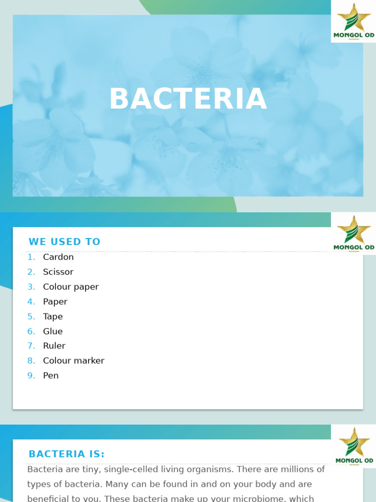 Bacteria 7a Science Fair | PDF | Bacteria | Infection