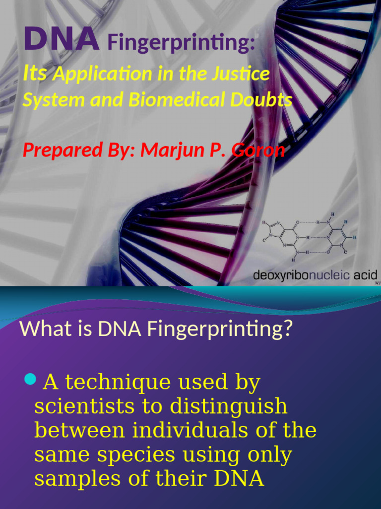 Lesson 2 DNA Fingerprinting | PDF | Dna Profiling | Gel Electrophoresis