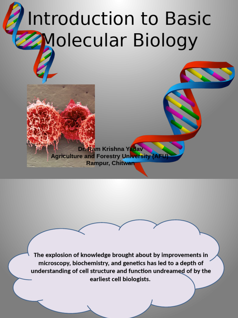 Introduction to Cell and Molecular Biology Slides [Autosaved] | PDF ...