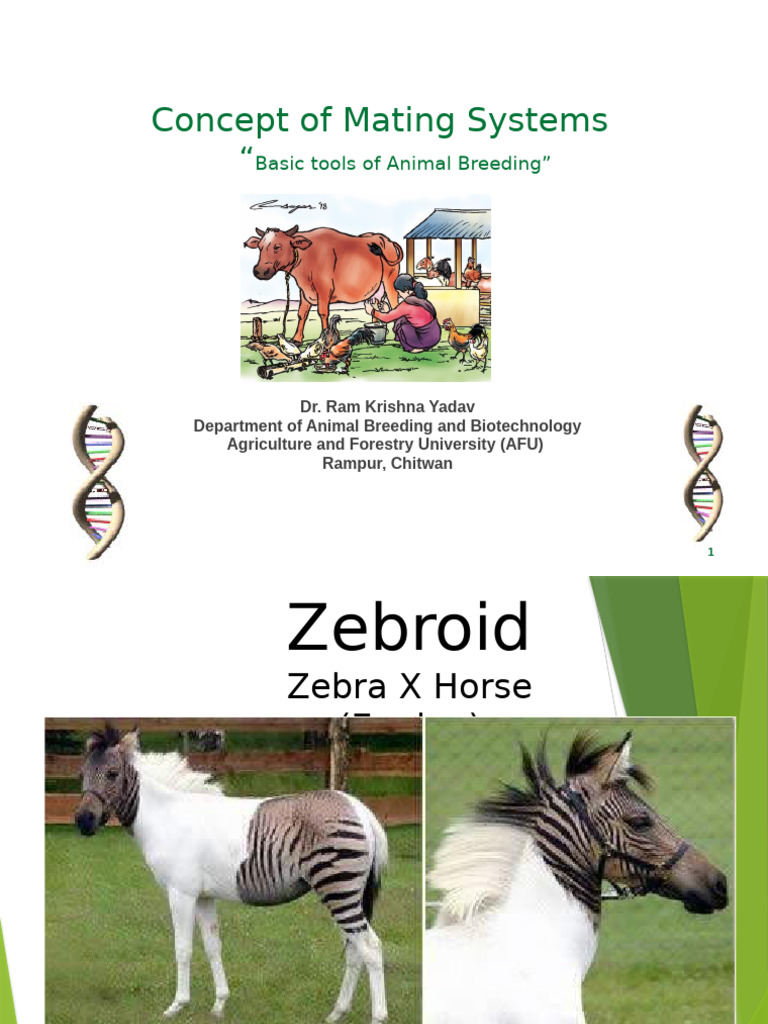 Basic Mating System [Autosaved] | PDF | Inbreeding | Zygosity