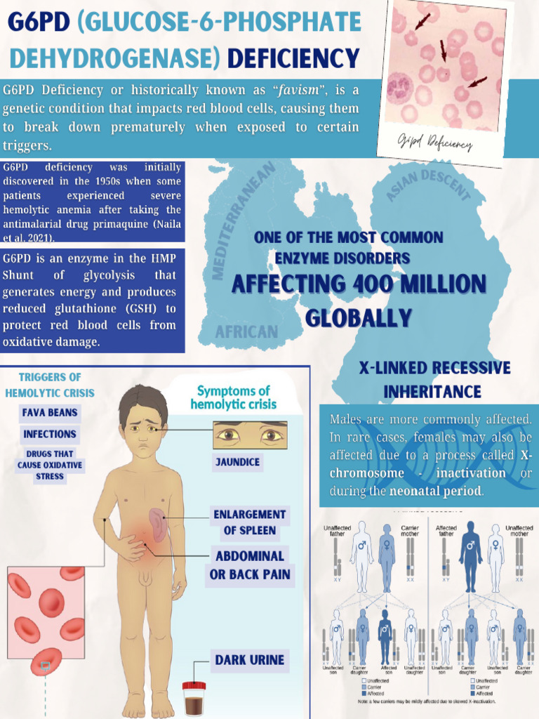 g6pd Case Study - Infographic | PDF | Diseases And Disorders | Clinical ...