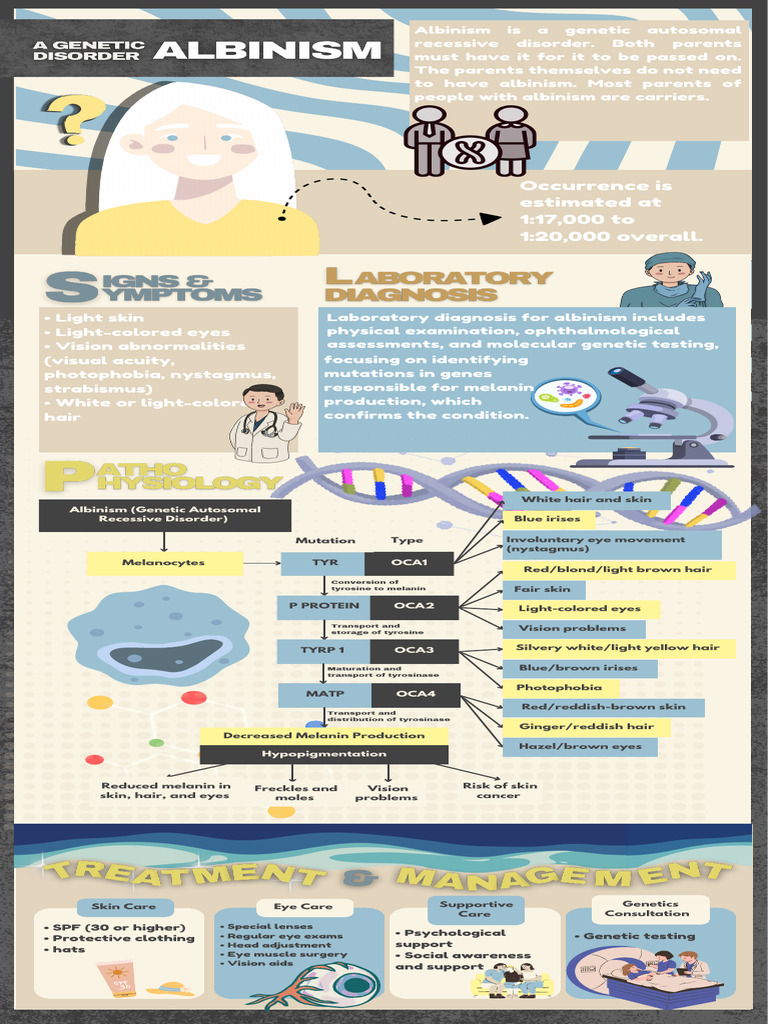 Albinism Infographic | PDF | Diseases And Disorders