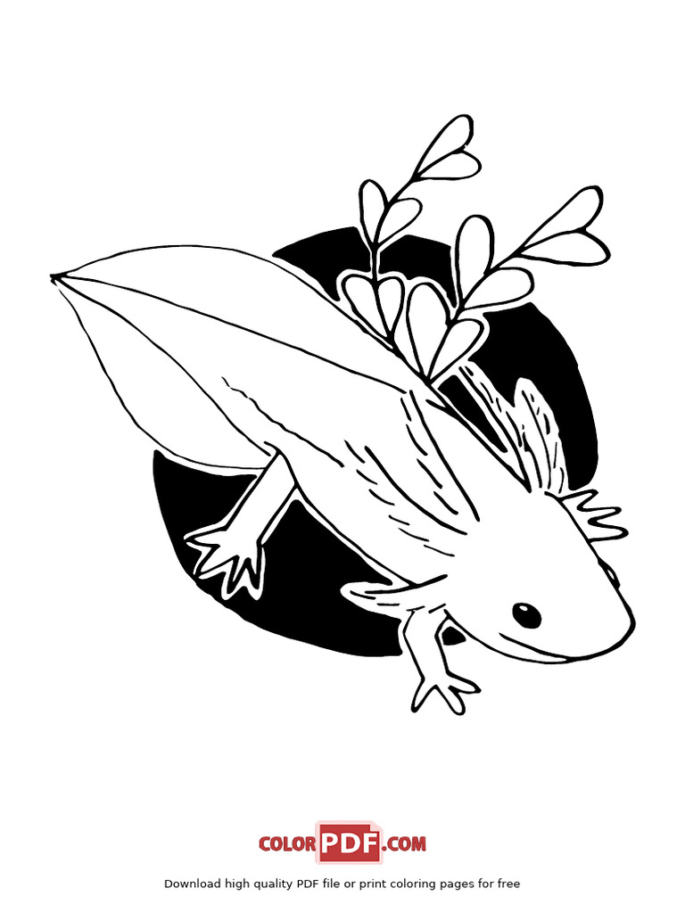 Kidz Colouring Books | PDF