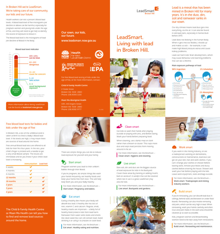 LeadSmart-Brochure-GeneralAwareness | PDF | Lead