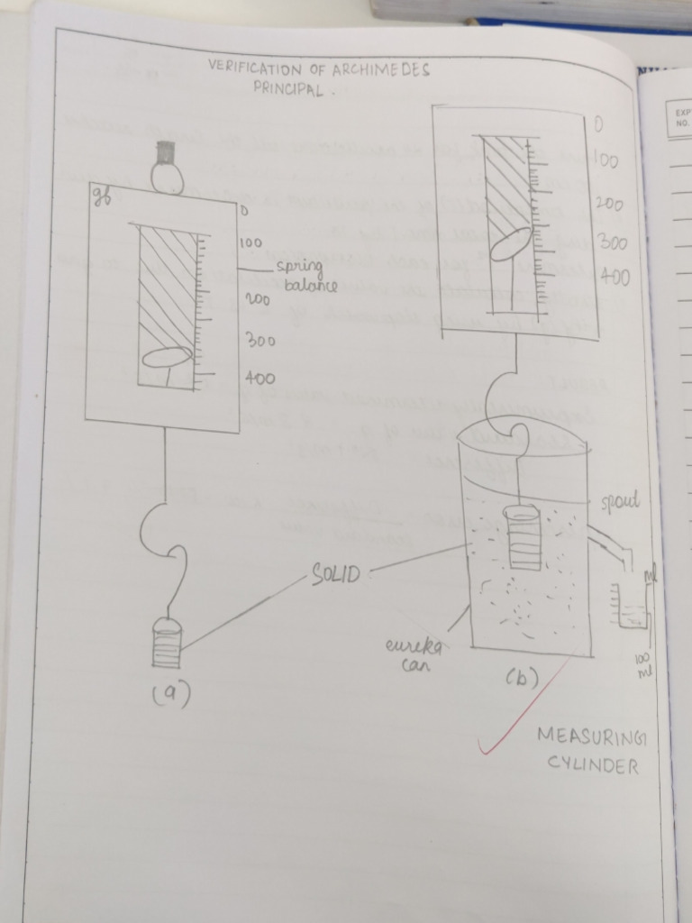 Relative Density | PDF
