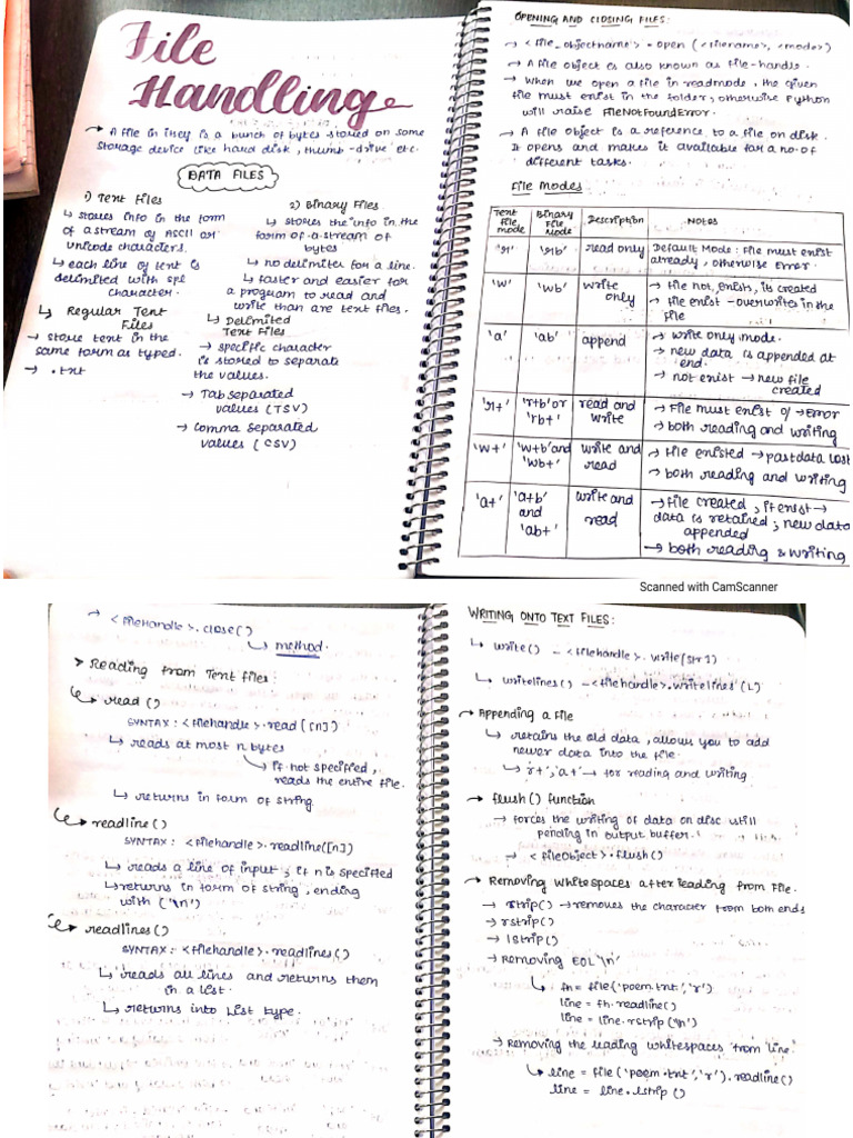 file handling (rithi) | PDF