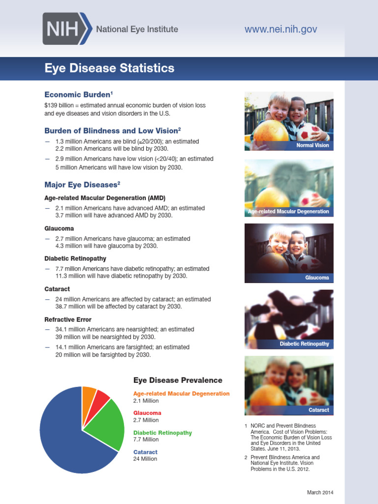 NEI_Eye_Disease_Statistics_Factsheet_2014_V10 | PDF | Visual Impairment ...