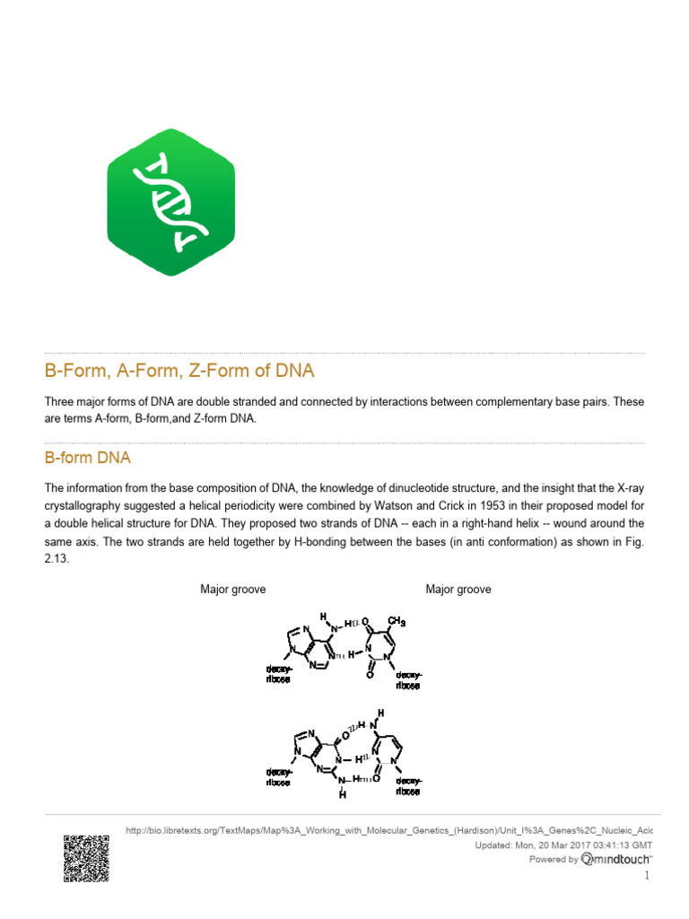 B-Form, A-Form, Z-Form of DNA | PDF | Nucleic Acid Double Helix | Dna