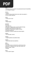 Afaan Oromo Dictionary | PDF