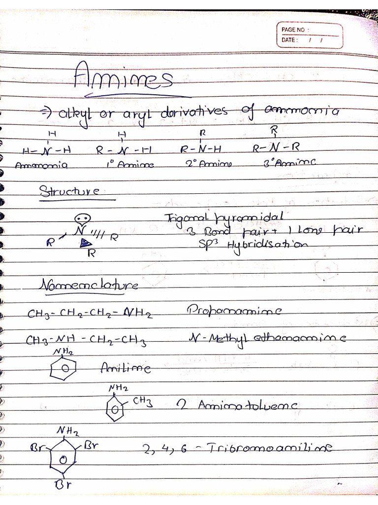 AMINES | PDF
